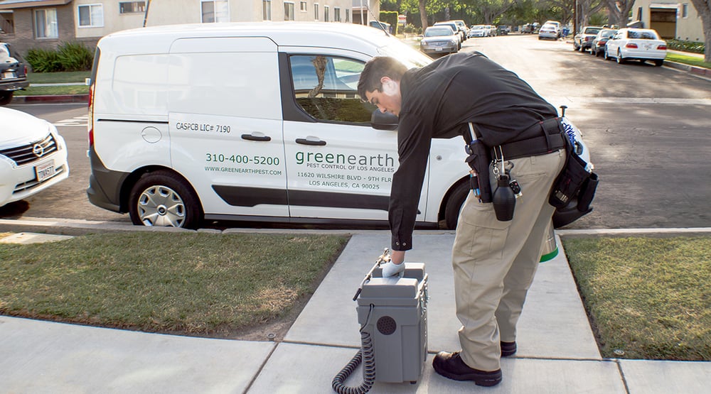 Garden pest control: DIY or hire a pro? - Yelp