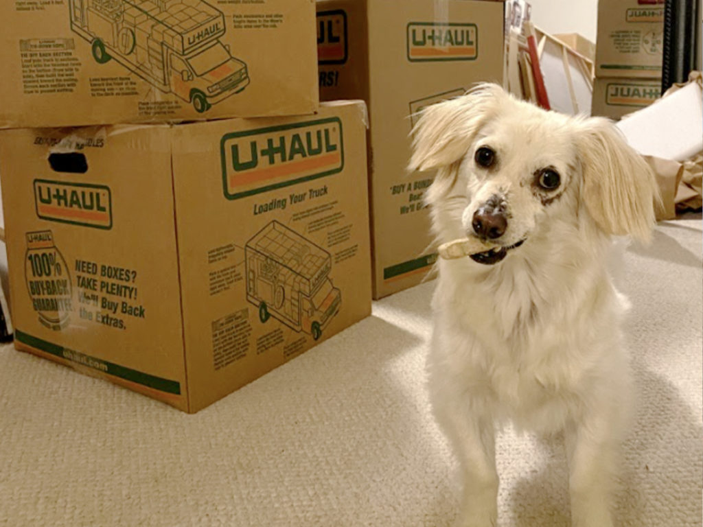 17 Survival Tips for Organizing a Move - Yelp