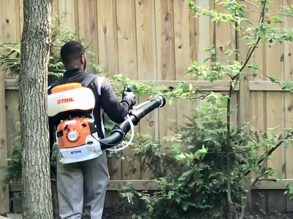Mosquito pest control: DIY or hire a pro? - Yelp