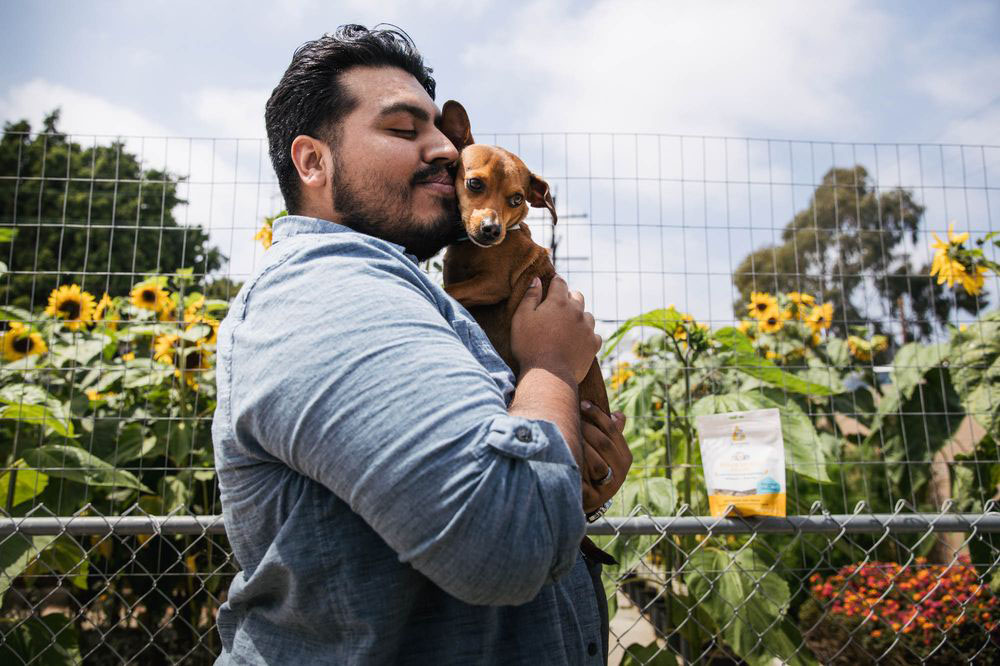How to Adopt a Rescue Dog: Expert Tips for New Pet Owners - Yelp