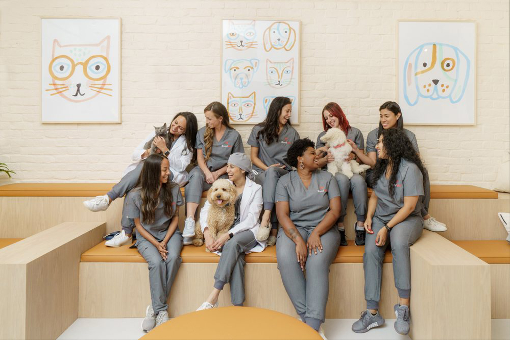 Pet vets: How to find the right healthcare provider - Yelp