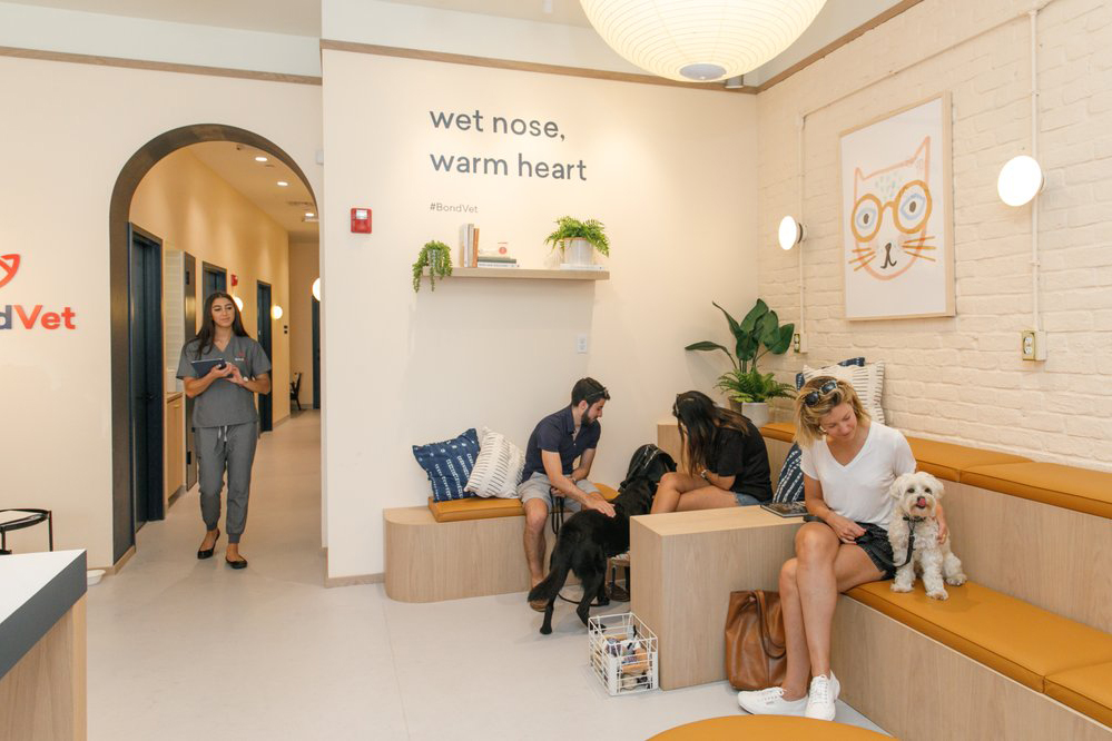 Pet vets: How to find the right healthcare provider - Yelp