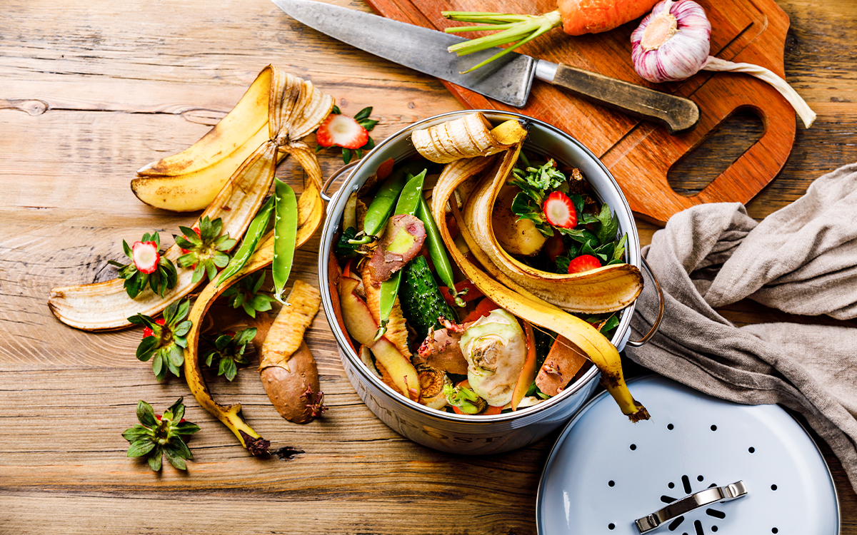 Home Composting Made Easy: Tips for Getting Started - Yelp