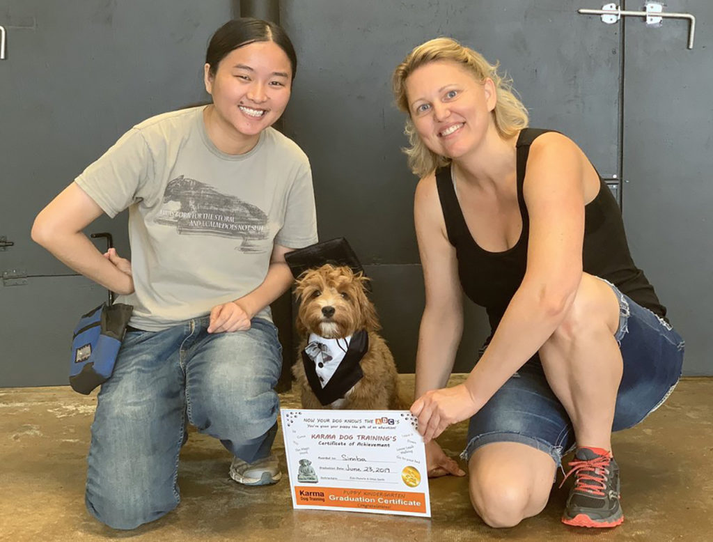 Dog Training 101: How to Hire the Right Pro for Your Pup - Yelp