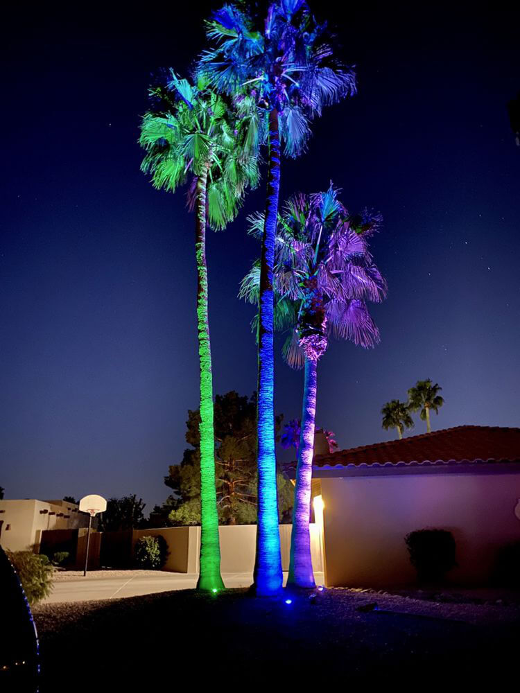 8 Eerie Ideas for Your Halloween Lights - Yelp