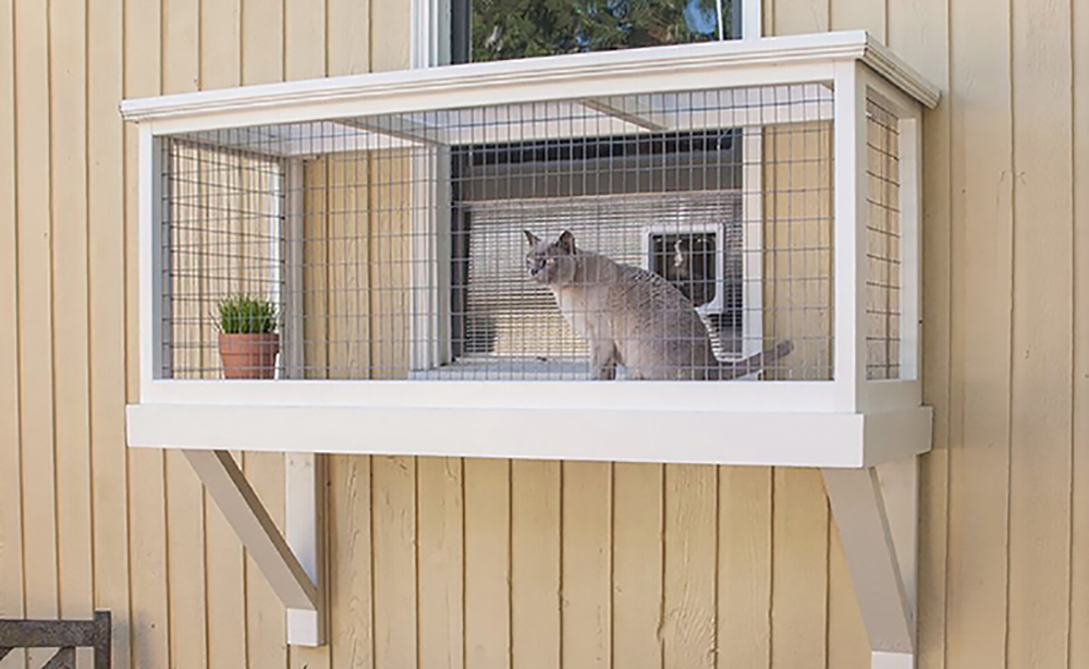 How to Build a Catio (Cat Patio) - Yelp