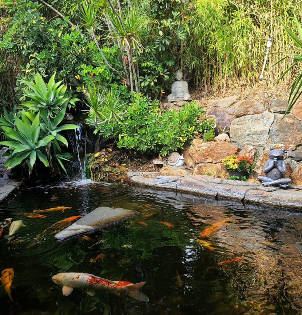 Entrance Water Ponds Designs Renovating A Natural Pond | Platinum